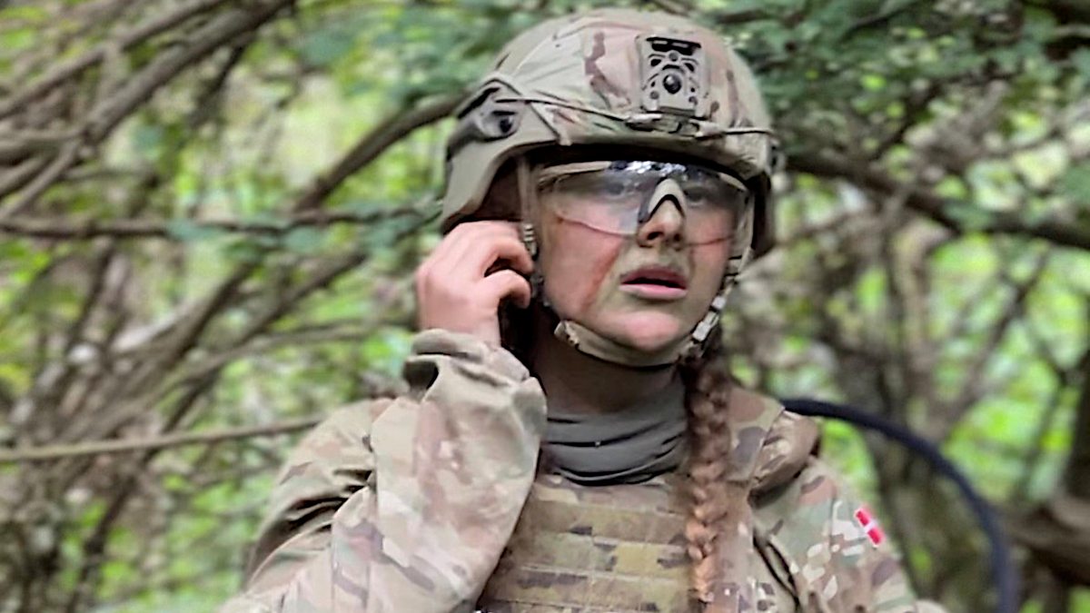 BBC World Service - The Documentary Podcast, ‘A new foe’: Conscripting ...