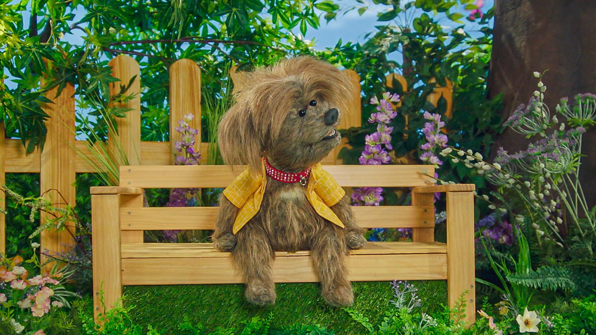 Dodges Pup School - Songs: 17. In Or Out - BBC iPlayer