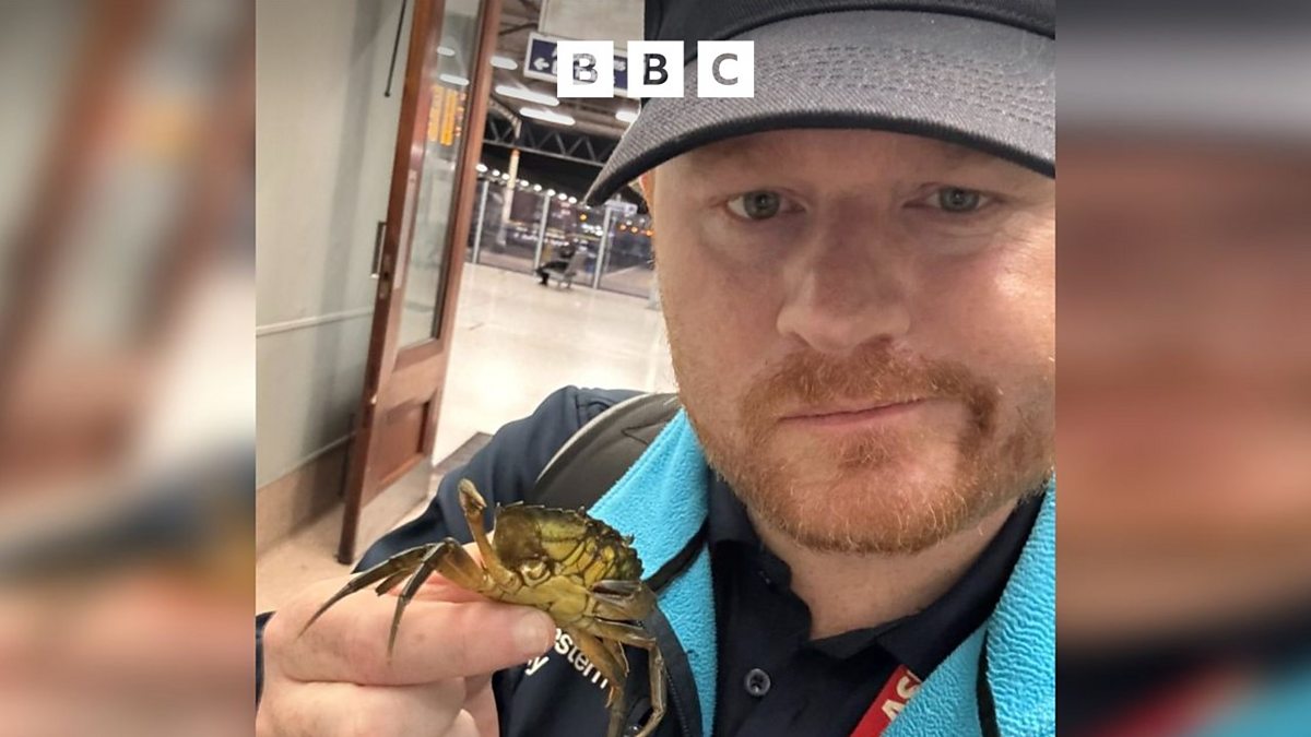 BBC Radio Surrey - BBC Radio Surrey, Stowaway crab aboard London to ...