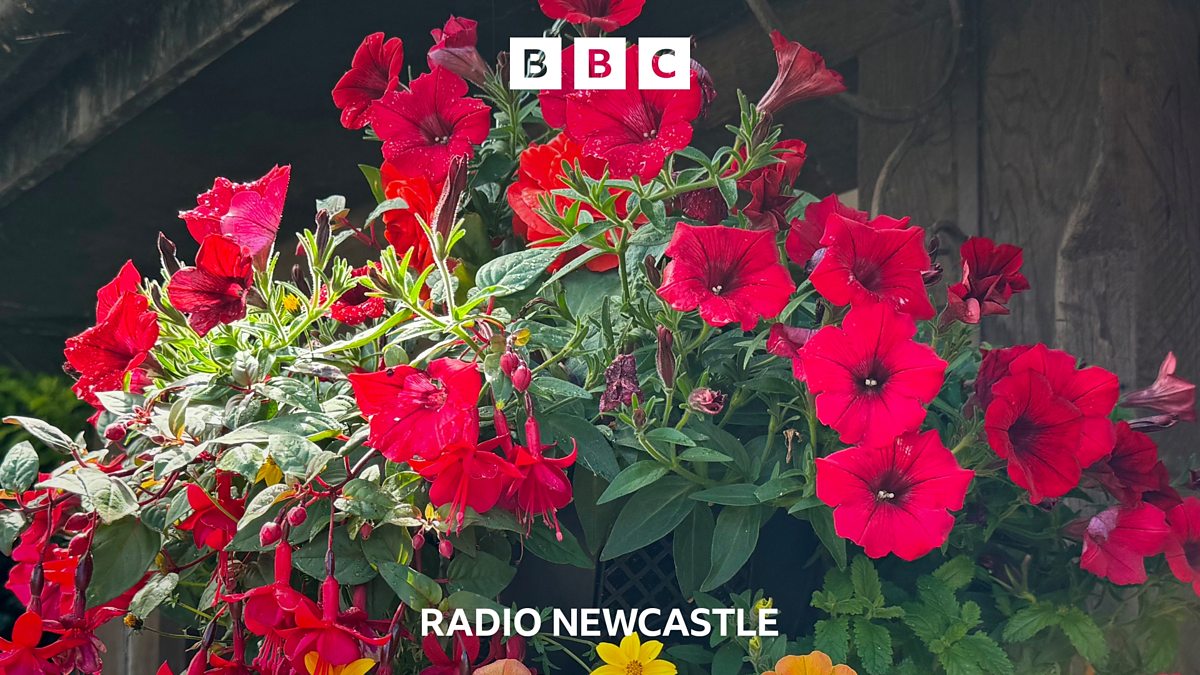BBC Radio Newcastle - Gilly Hope on BBC Radio Newcastle, Chris Felton ...