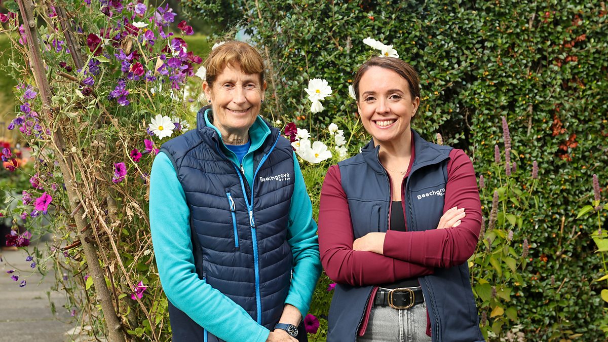 Beechgrove Garden - 2025: Episode 26 - BBC iPlayer