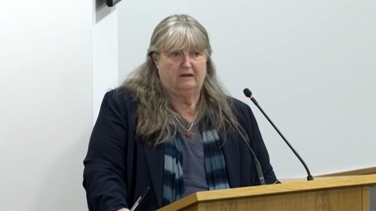 Senedd Cymru - Welsh Parliament - Planning Bill Statement - BBC iPlayer