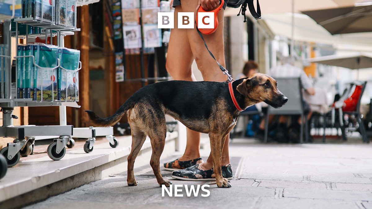BBC Radio Scotland - Drivetime, Why a city in Italy might tax tourists ...