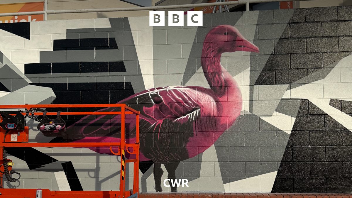 BBC CWR - BBC CWR, University of Warwick mural in the making
