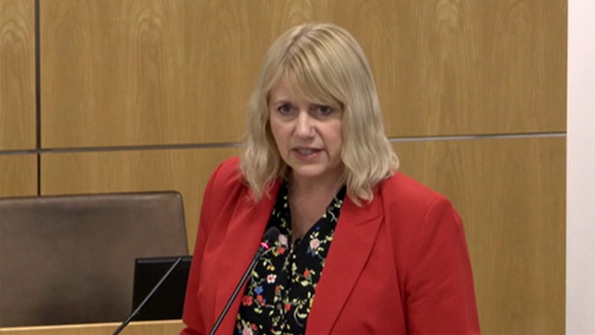 Senedd Cymru - Welsh Parliament - Swift Bricks Petition - BBC iPlayer