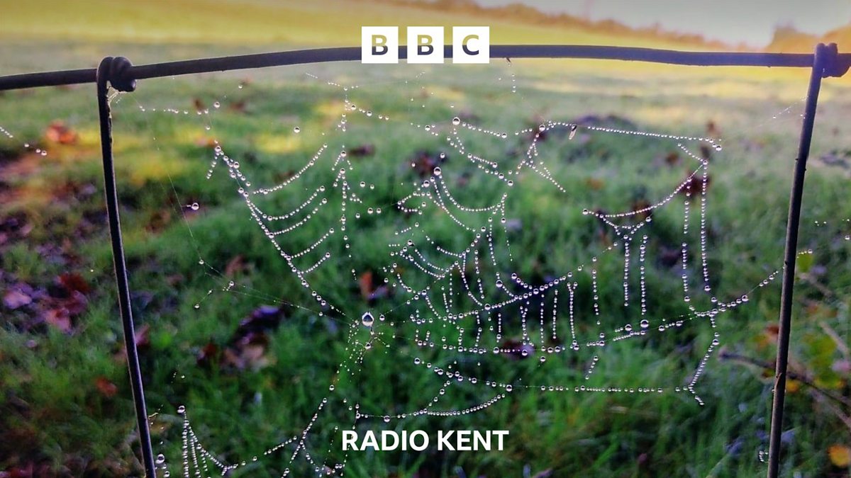 BBC Radio Kent - BBC Radio Kent, Storm Amy approaching - Kent's weather