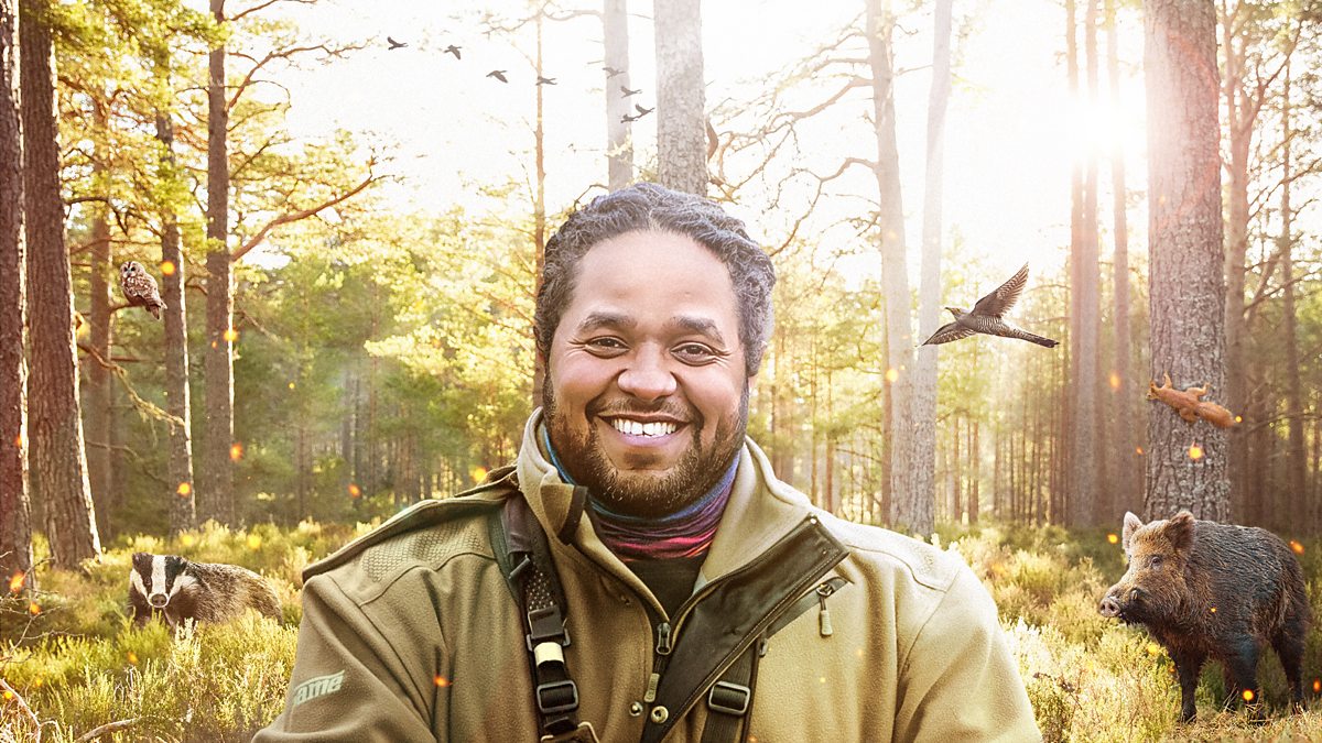 BBC One - Hamza's Hidden Wild Isles