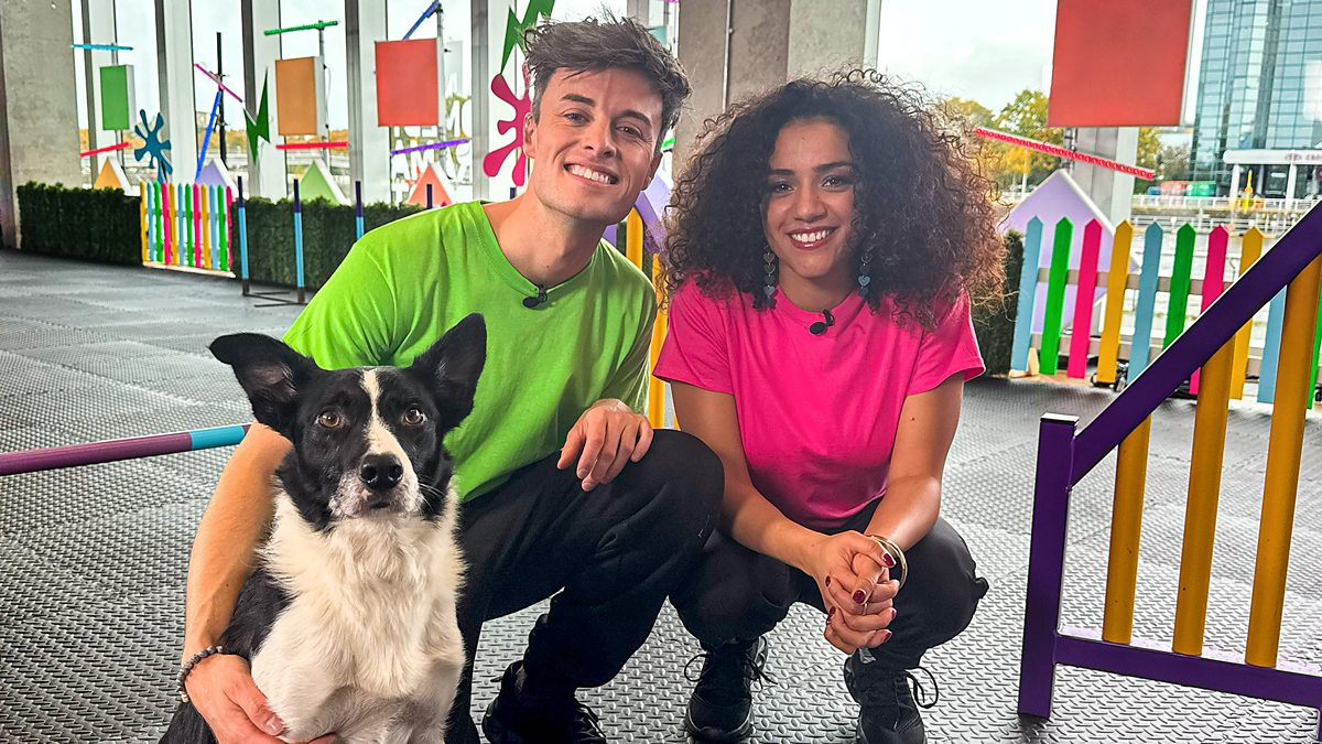 Saturday Mash-Up! Live - Highlights: 36. Joe V Shereen V Dogs! - BBC ...