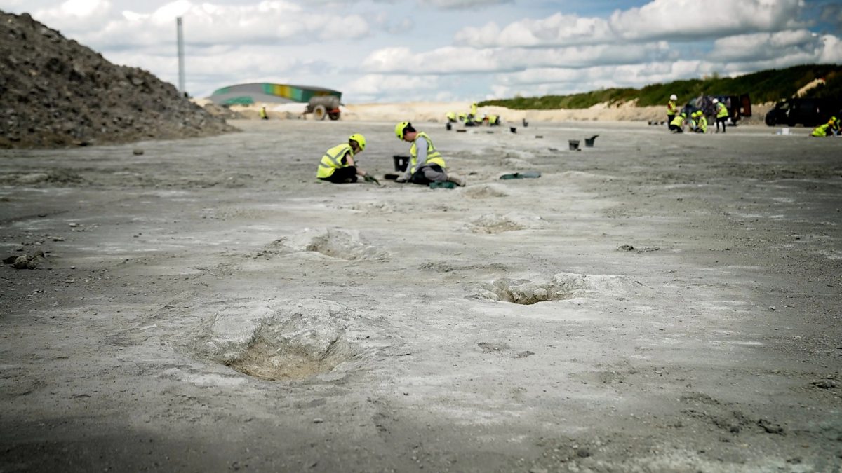 BBC News - Dinosaur Trackway Found in Oxfordshire