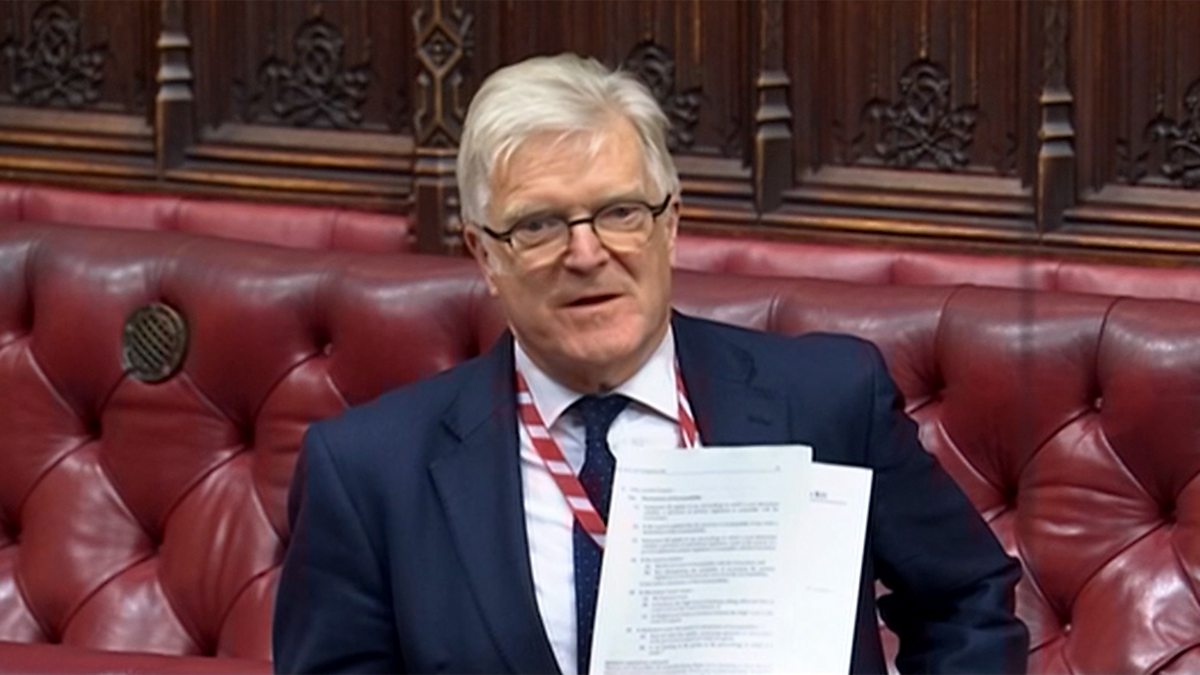 House of Lords - Border Security, Asylum and Immigration Bill, Part 3 ...