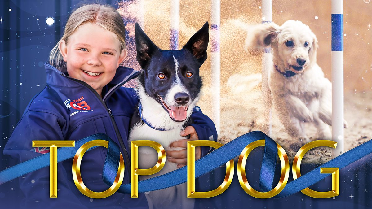 My Life - Top Dog - BBC iPlayer
