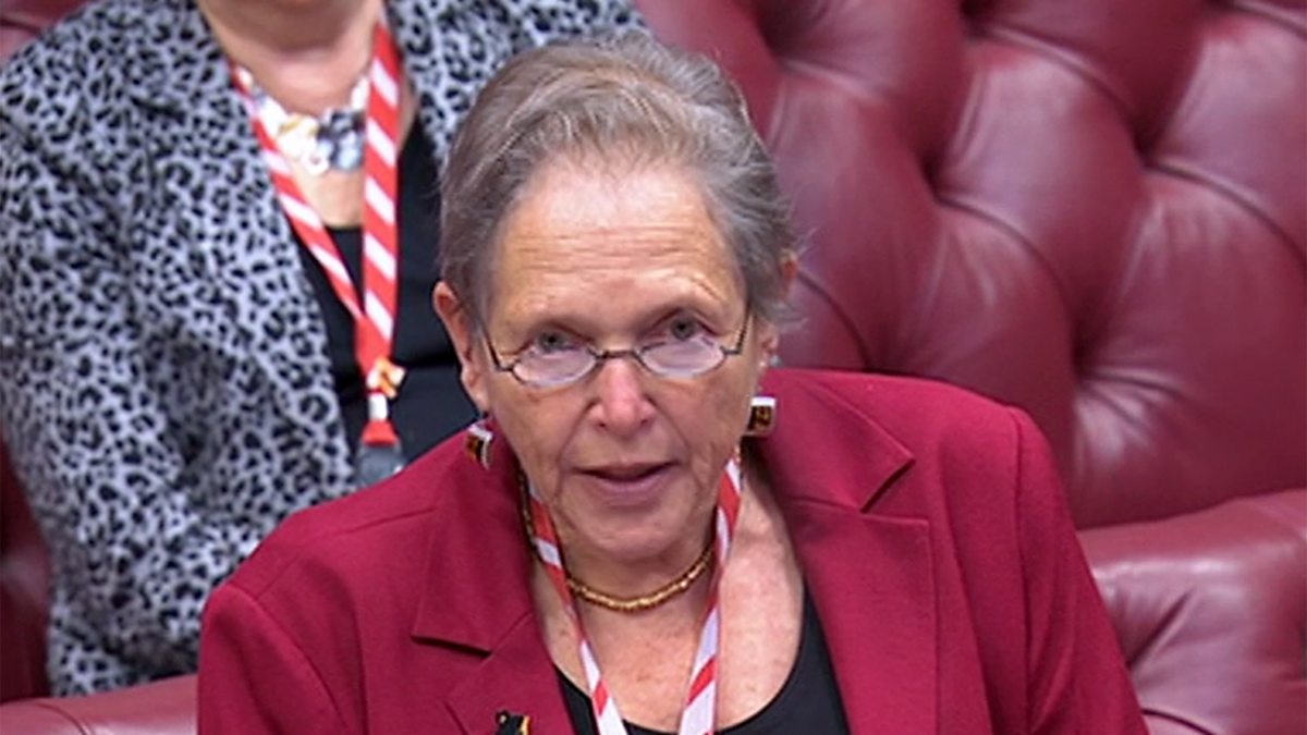 House of Lords - Public Authorities (Fraud, Error and Recovery) Bill ...