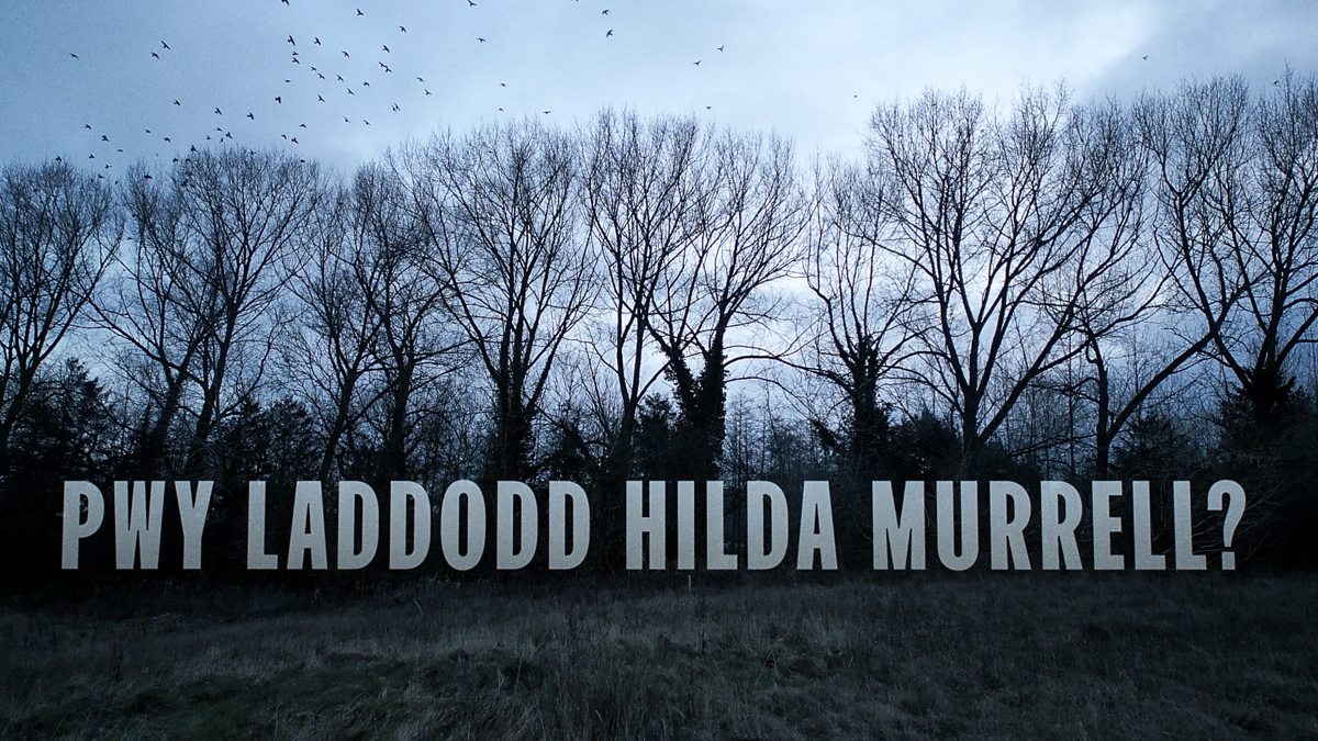 S4C - Pwy Laddodd Hilda Murrell?, Pennod 1