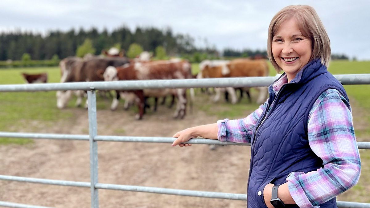 Farm 999 - Series 1: 3. High-Stakes GPS Sting and a Life Saved by Air Ambulance - BBC iPlayer