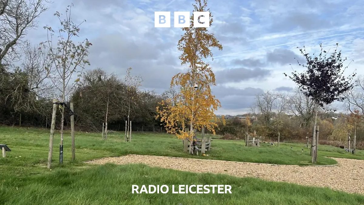 BBC Radio Leicester - BBC Radio Leicester, Remembrance event trees ...
