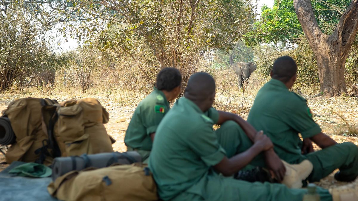 BBC One - Kingdom - From raiders to neighbours