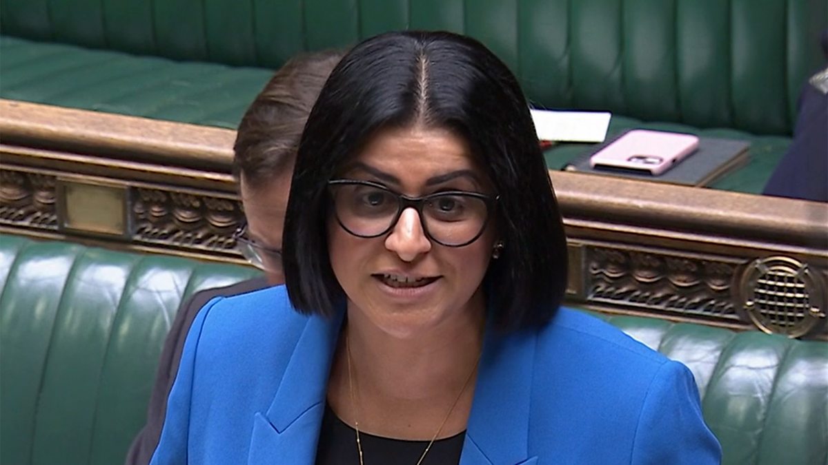 House of Commons - Asylum Policy Statement - BBC iPlayer