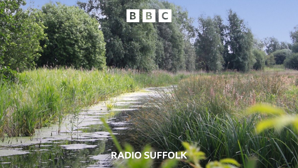 BBC Radio Suffolk - BBC Radio Suffolk, New nature reserve for Suffolk