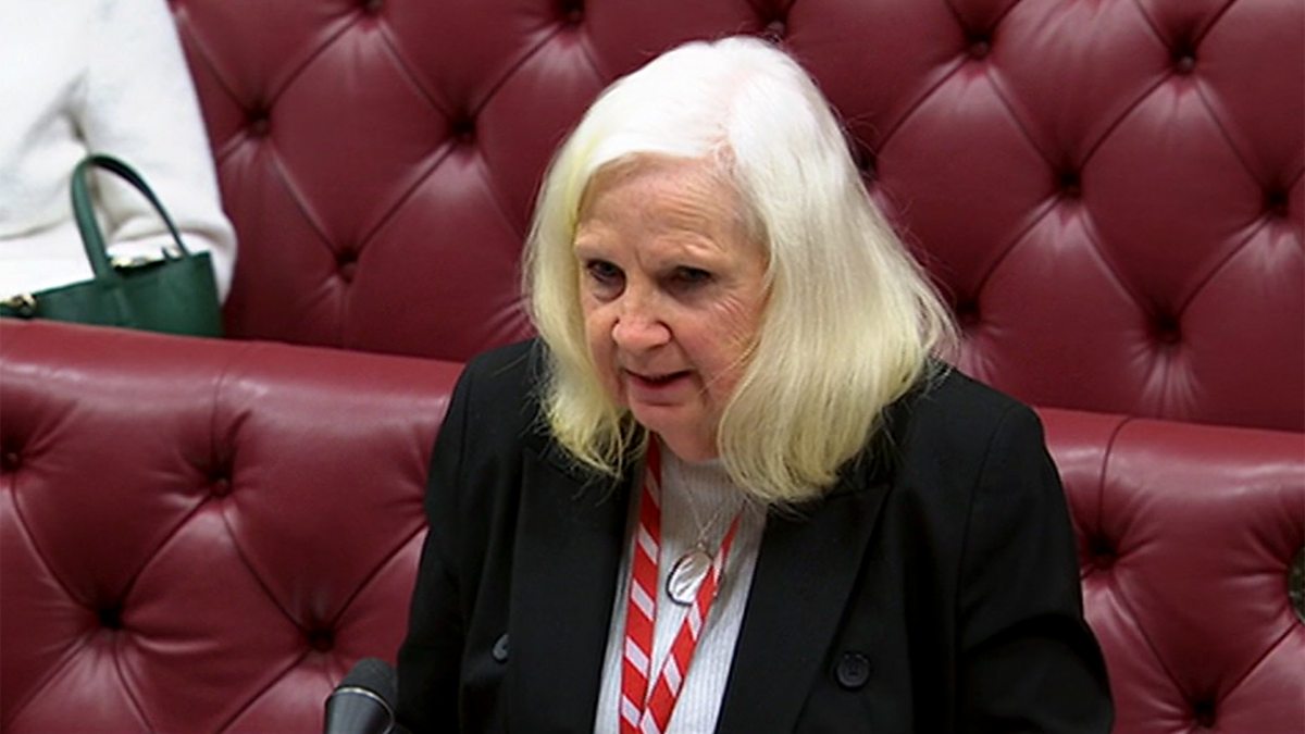 House of Lords - Planning and Infrastructure Bill, Part 2 - BBC iPlayer