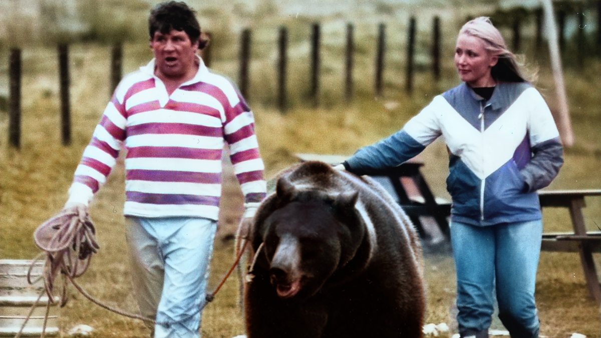 BBC Scotland - Hercules the Bear - A Love Story