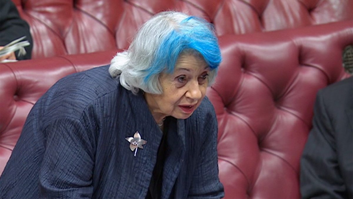 House of Lords - Sentencing Bill, Part 2 - BBC iPlayer