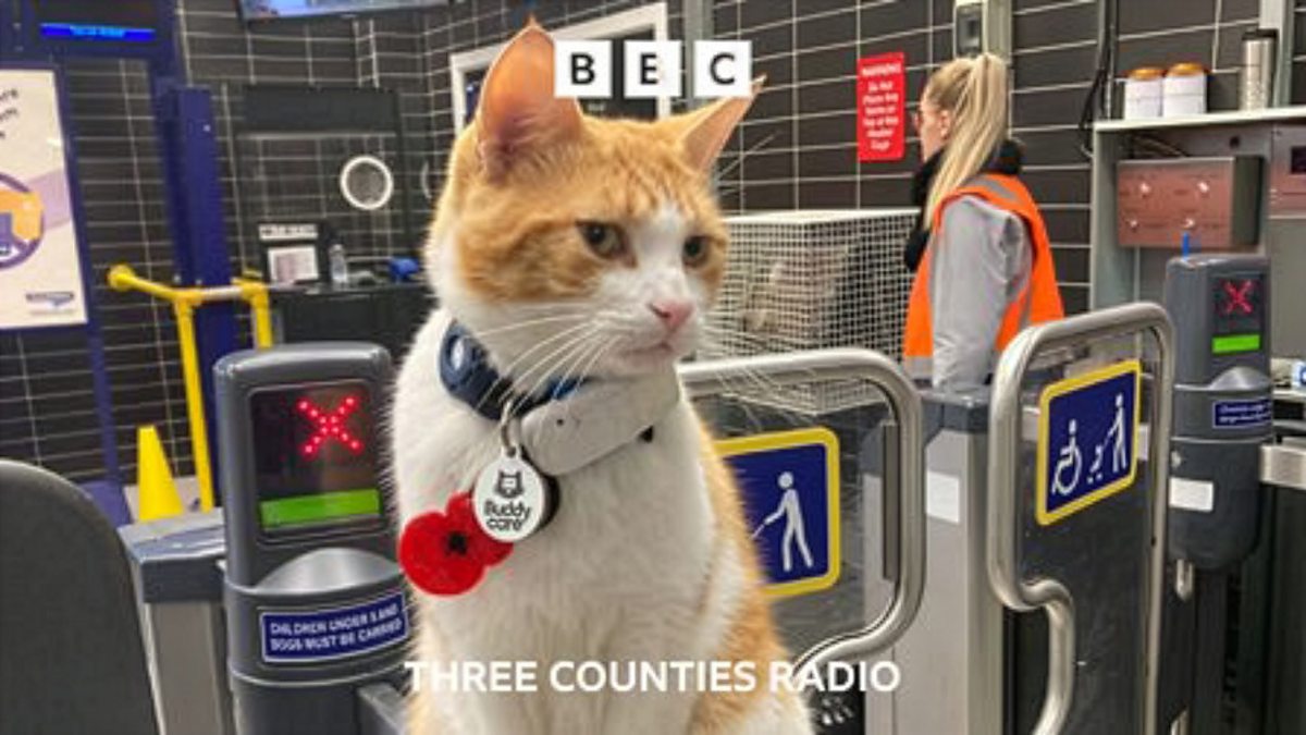 BBC Three Counties Radio - BBC Three Counties Radio, Statue could ...