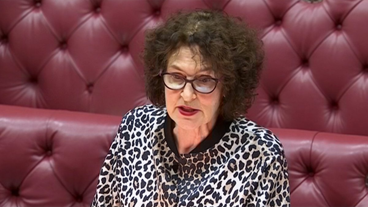 House of Lords - Doctors' Strike Statement - BBC iPlayer