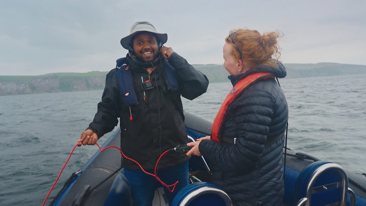 BBC One - Countryfile, Hamza's Highlands - Cromarty Dolphins