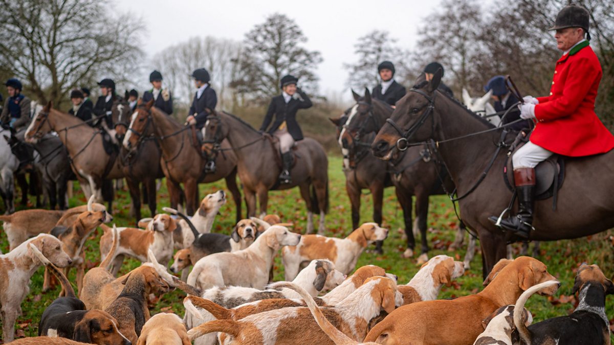 Phone In: Do You Back A Trail Hunting Ban? - BBC iPlayer