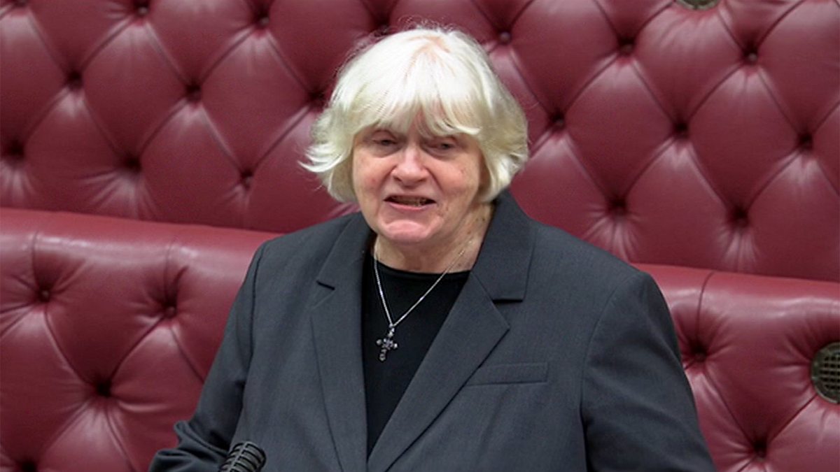 House of Lords - Pensions Schemes Bill, Part 1 - BBC iPlayer