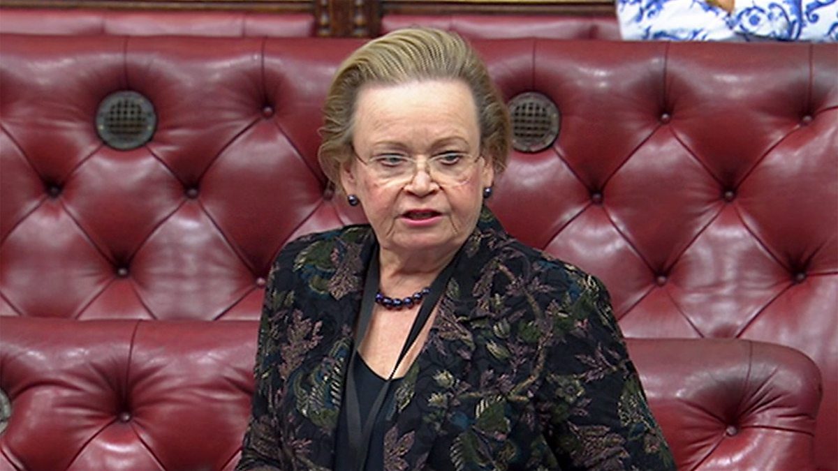 BBC Parliament - House of Lords, Pensions Schemes Bill, Part 2
