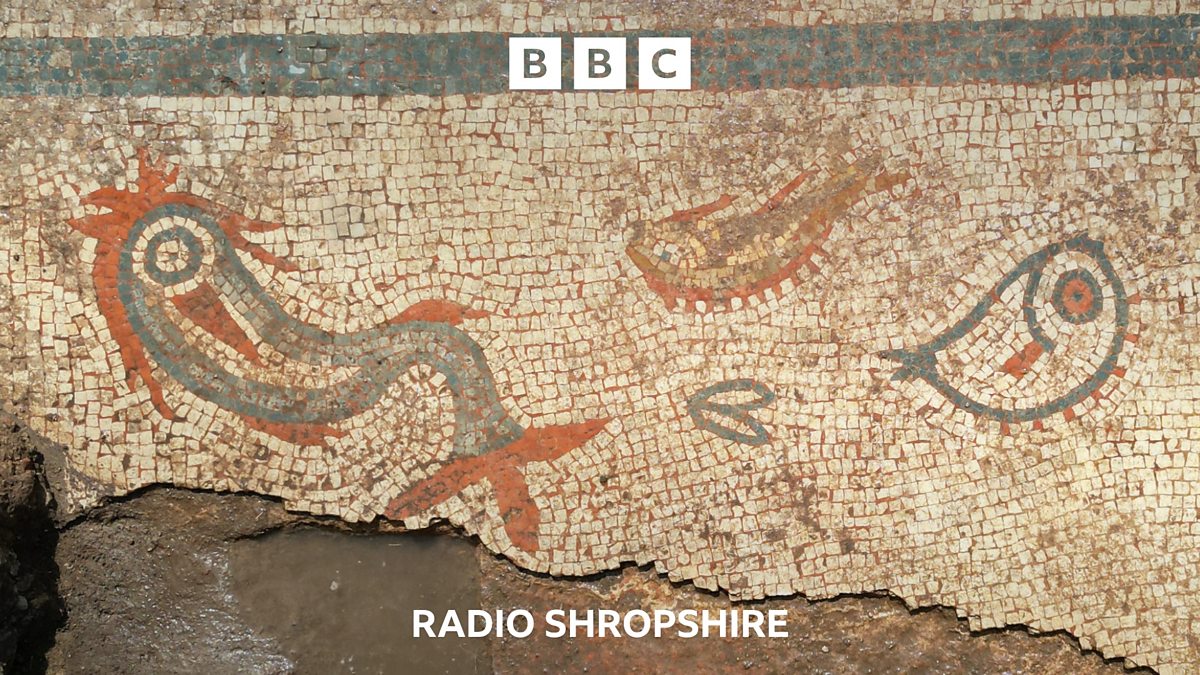 BBC Radio Shropshire - BBC Radio Shropshire, How did the Romans survive ...