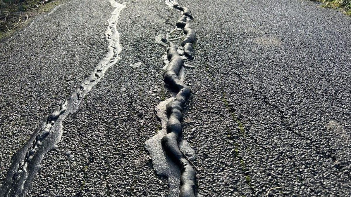 BBC Radio York - BBC Radio York, Mysterious 'pavement snake' appears on ...