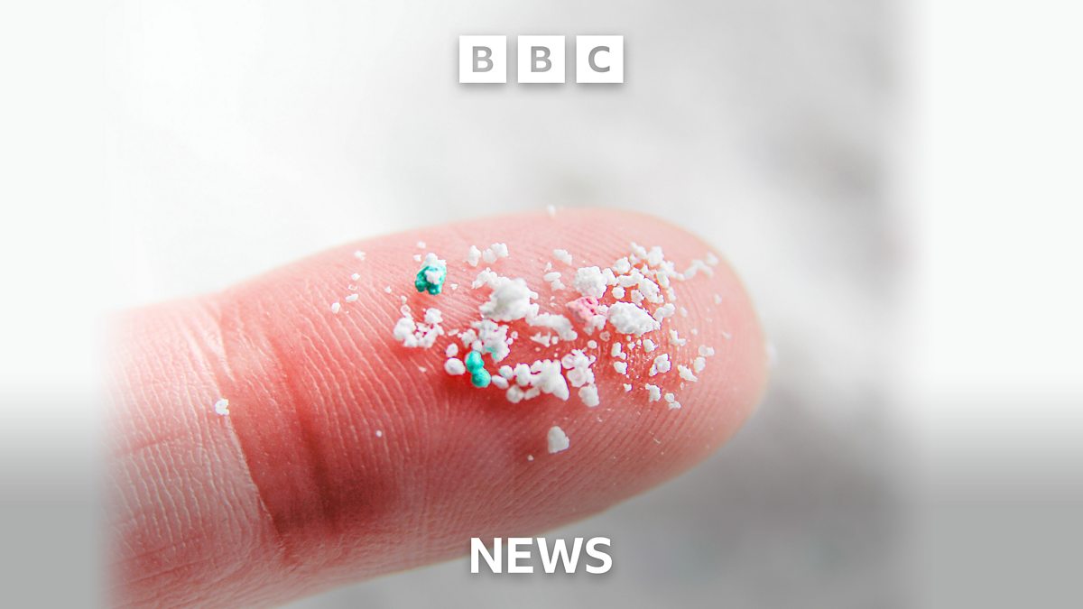 BBC Radio 4 - World at One, Can we trust claims of microplastics in our ...