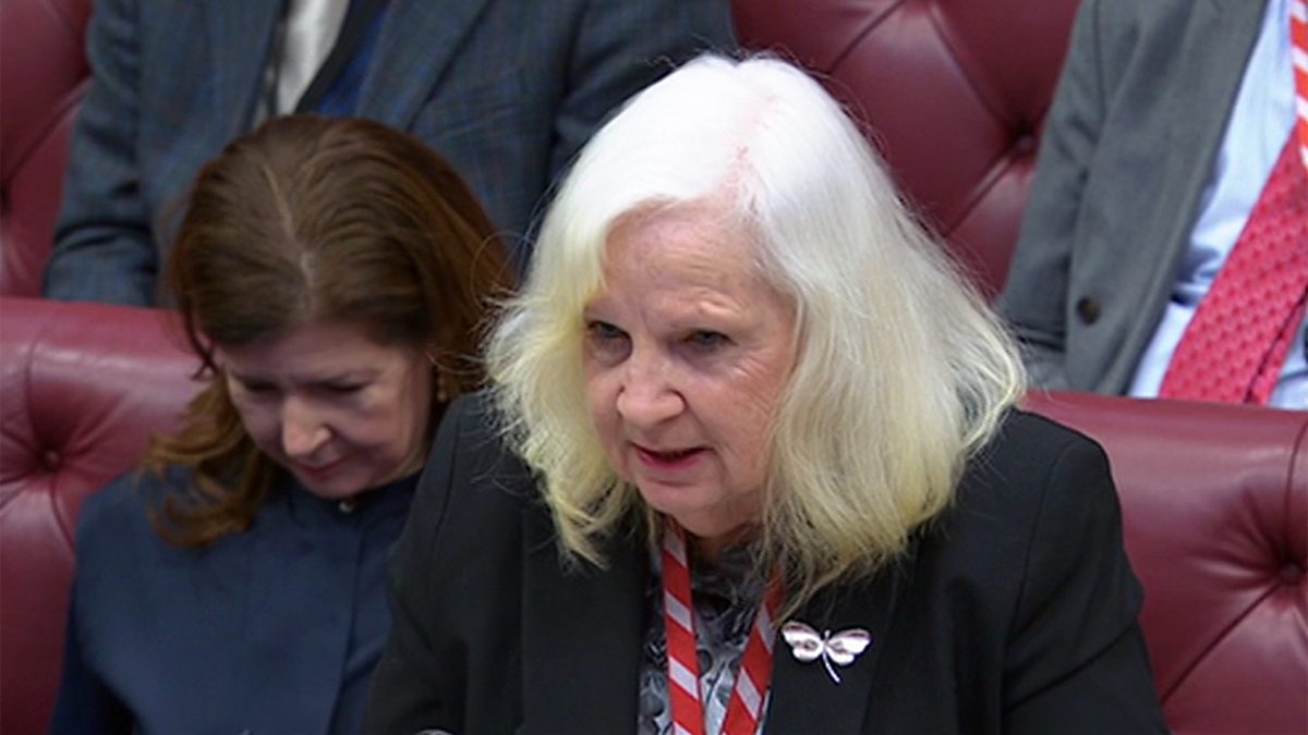 House of Lords - Chinese Embassy Statement - BBC iPlayer