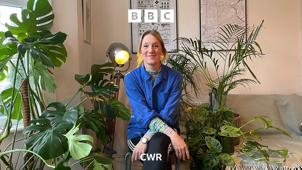 BBC CWR - BBC CWR, From the RSC to Dinosaurs