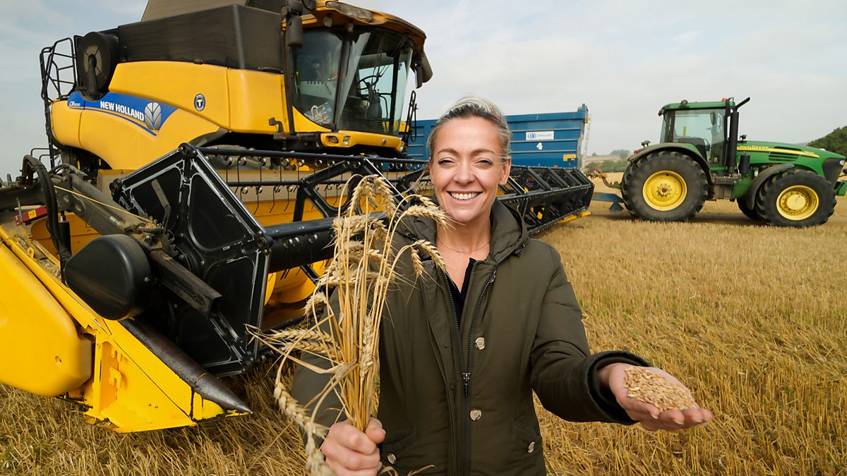 Inside the Factory - Series 10: Breakfast Cereal - BBC iPlayer