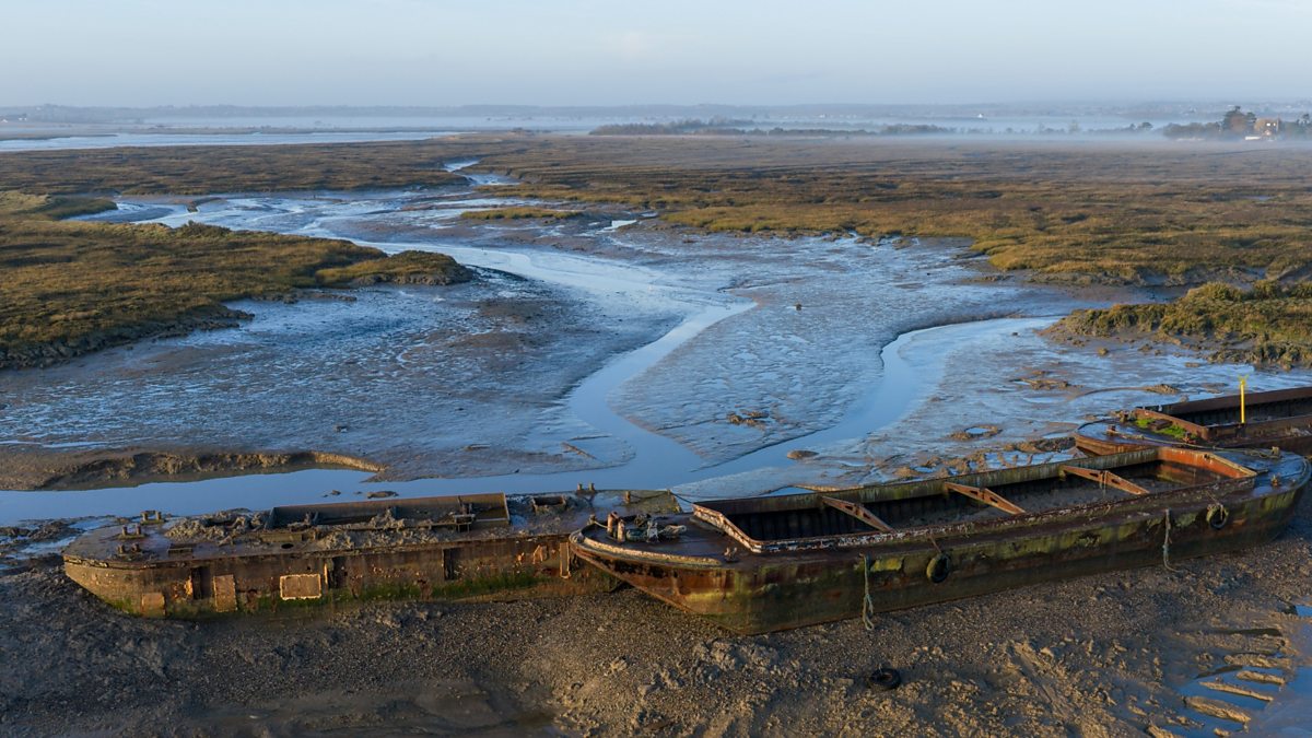 Saving Northey Island from Rising Sea Levels - BBC iPlayer