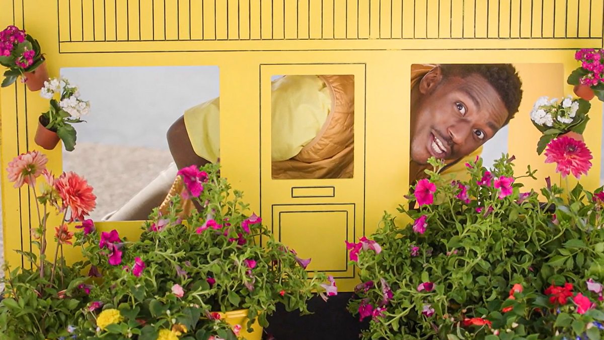 Balamory - Songs: 15. Which Coloured House - Dr Ollie Song - BBC iPlayer