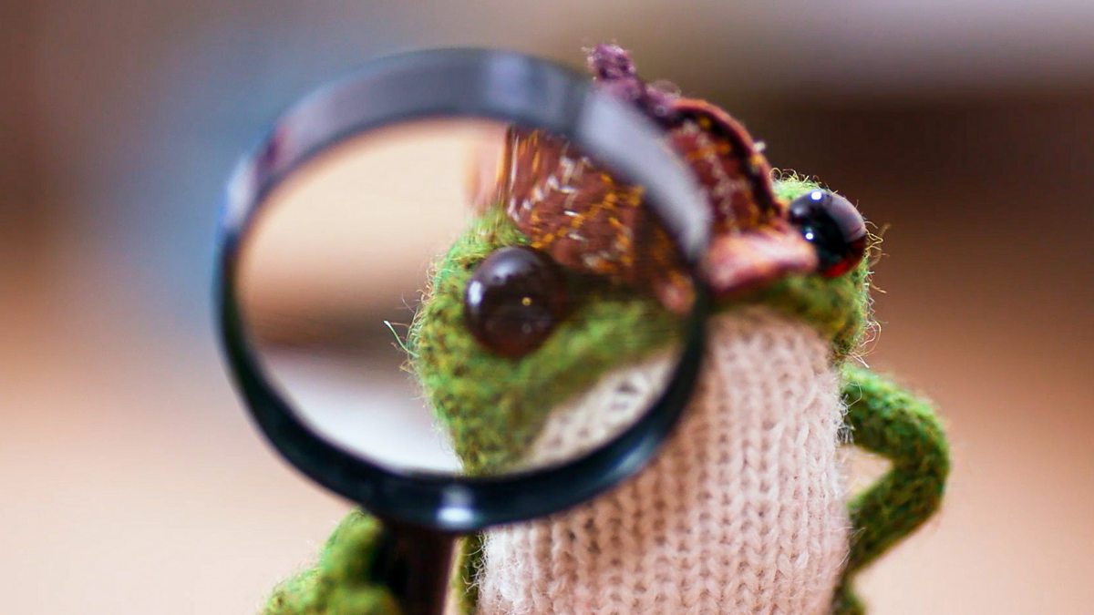 Froglets - Series 1: 14. Detectives - BBC iPlayer