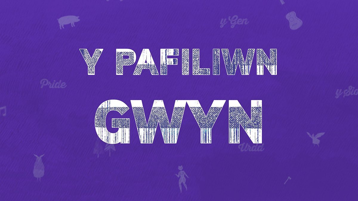 S4C Livestreams - Y Pafiliwn Gwyn: Sadwrn