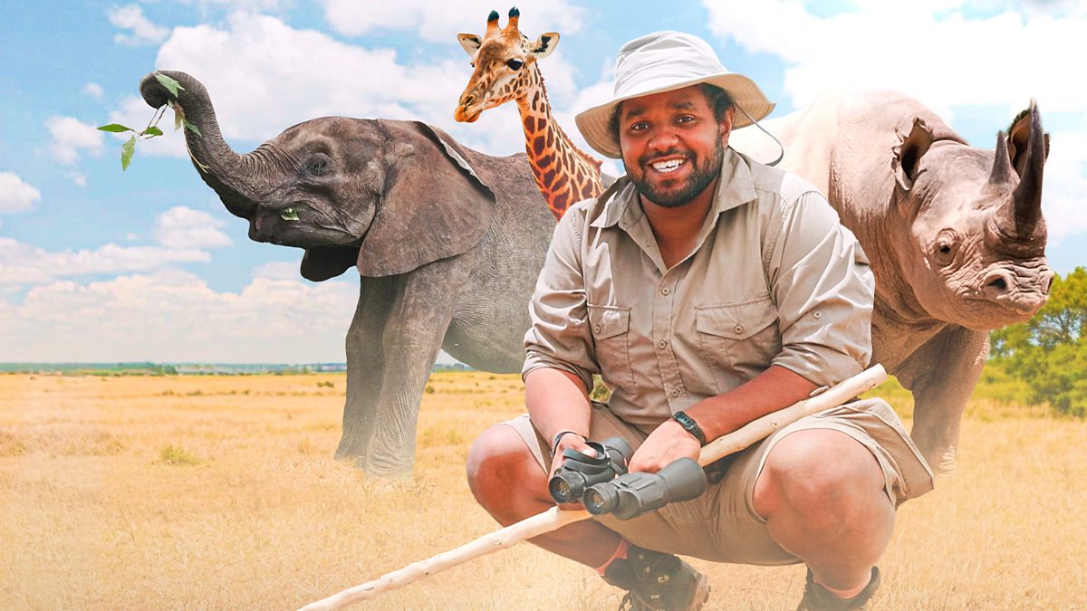 Hamza Loves Animals: Africa - BBC iPlayer
