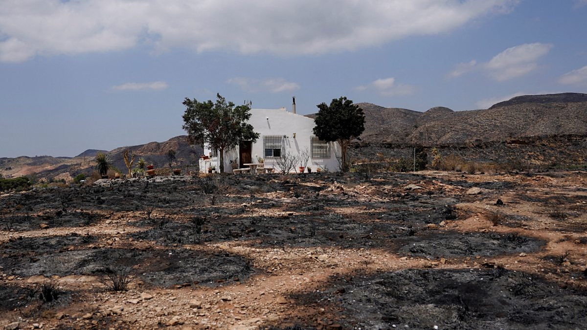spanish-pm-visits-site-of-deadly-wildfires-bbc-iplayer