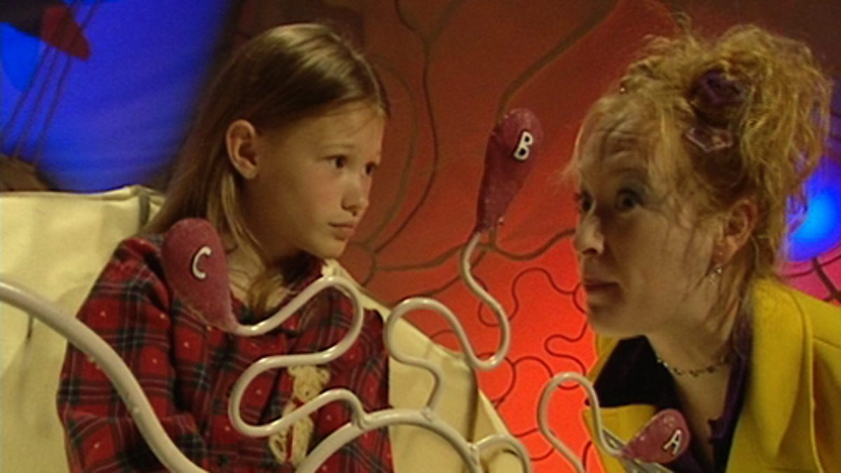 Reducing family conflict - Relationships: Video playlist - BBC Bitesize