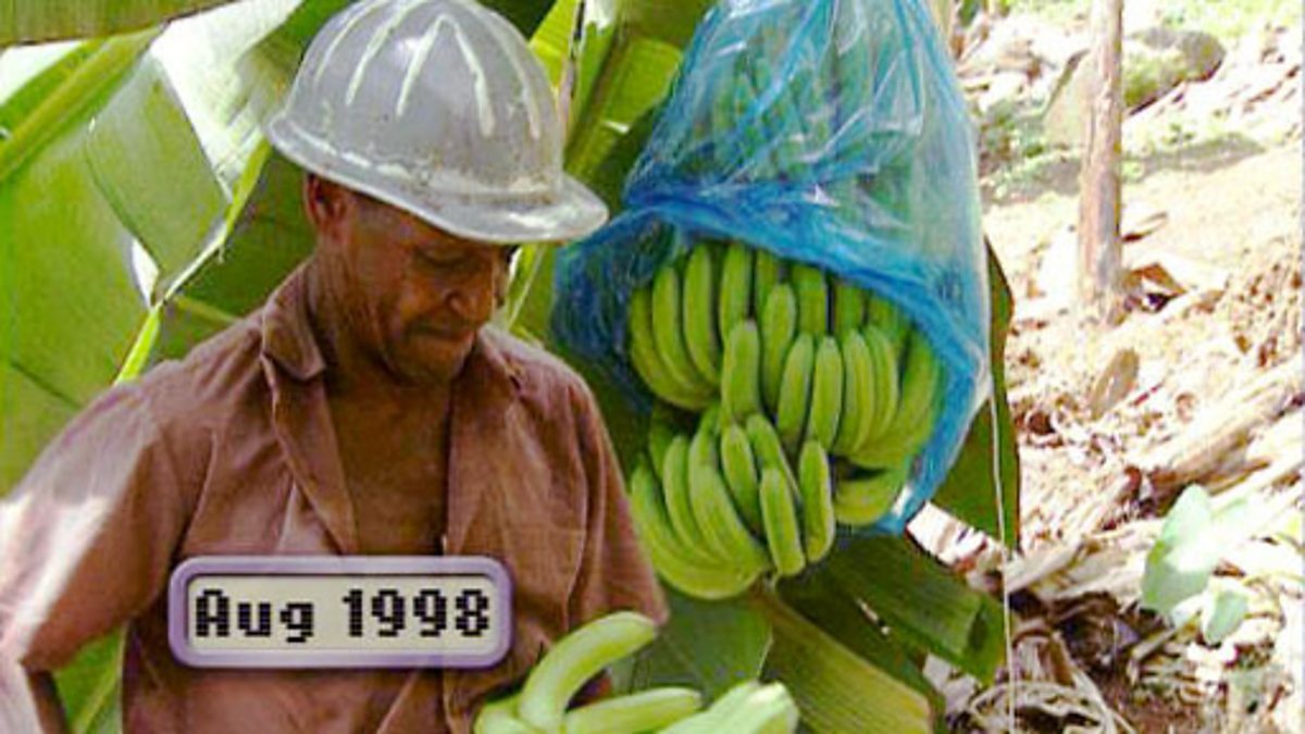 Hurricane Mitch strikes Honduras in 1998 - Global issues: Video ...
