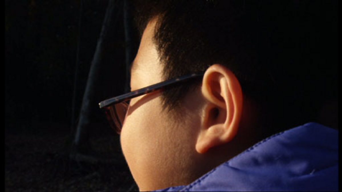 The human ear - BBC Bitesize