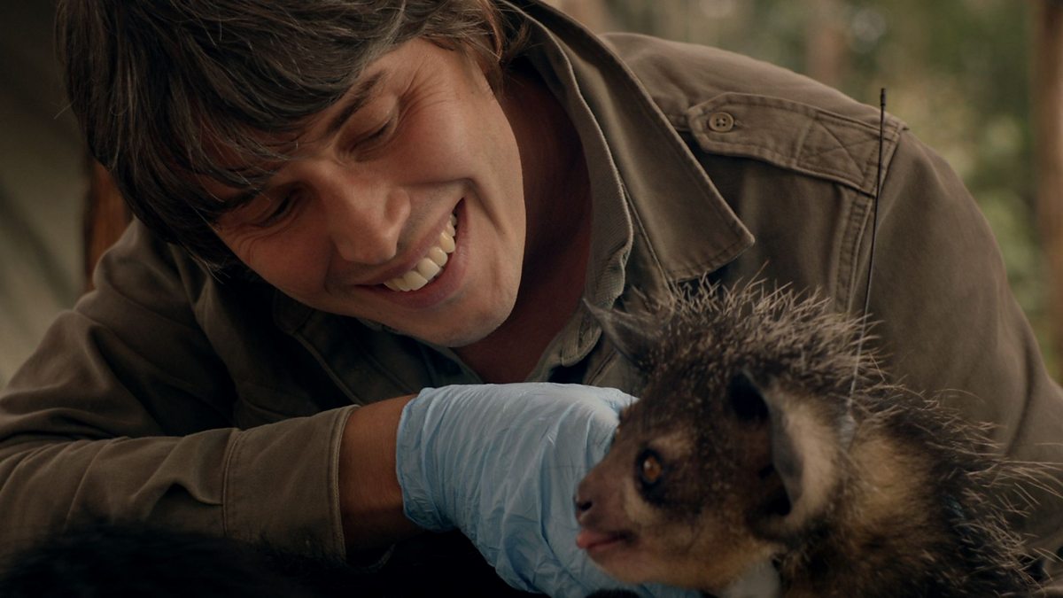 KS3 / KS4 Biology: Lemurs - Evolution and adaptation - BBC Teach