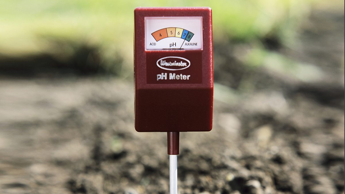 Competition in plants - Adaptations, interdependence and competition ...