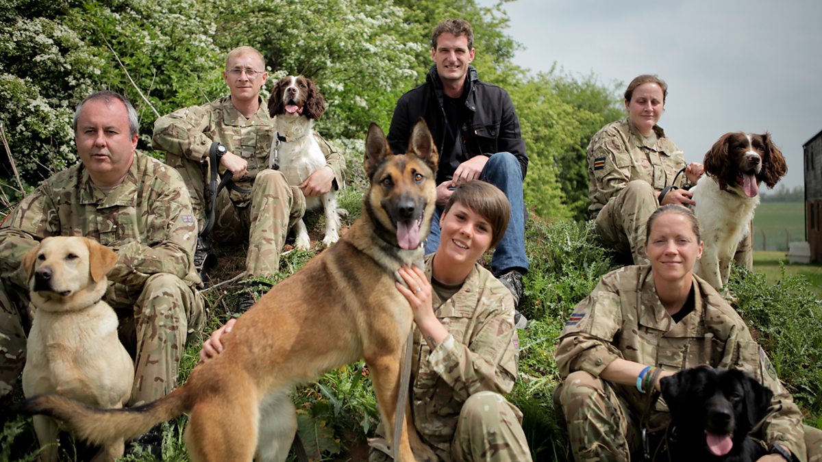 How Britain’s use of military dogs has changed since the start of WW1 ...