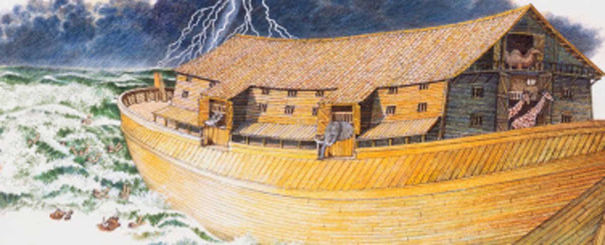 Is life on an ark really possible? - BBC Teach